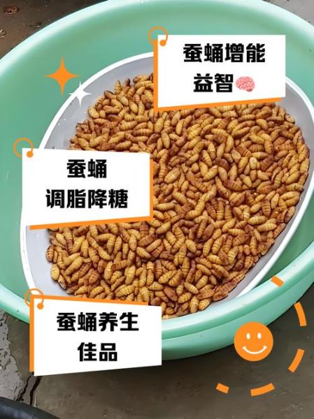 蚕蛹的营养价值有多高_蚕蛹蛋白质含量多少-第1张图片-山城妙识