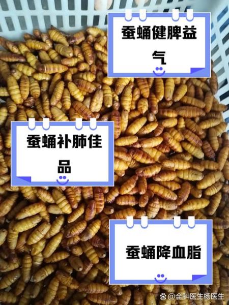 蚕蛹的营养价值有多高_蚕蛹蛋白质含量多少-第3张图片-山城妙识