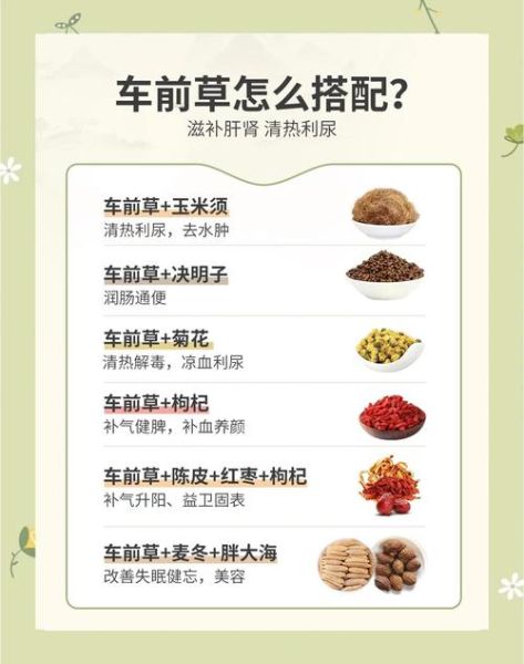 车前草什么人不能吃_车前草禁忌人群有哪些-第1张图片-山城妙识