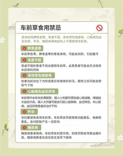 车前草什么人不能吃_车前草禁忌人群有哪些-第2张图片-山城妙识