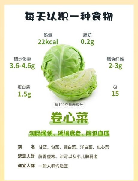 圆白菜热量高吗_圆白菜能减肥吗-第1张图片-山城妙识