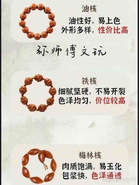 橄榄核什么品种最好_如何挑选顶级核-第1张图片-山城妙识