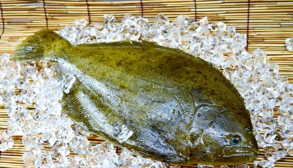 鲽鱼是深海鱼吗_鲽鱼是淡水鱼吗-第3张图片-山城妙识 鲽鱼是深海鱼吗_鲽鱼是淡水鱼吗-第3张图片-山城妙识