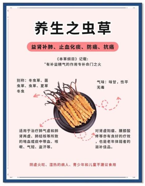 冬虫夏草适合什么人群吃_哪些人不能吃-第1张图片-山城妙识