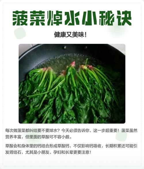 菠菜需要焯水吗_菠菜焯水多久-第1张图片-山城妙识 菠菜需要焯水吗_菠菜焯水多久-第1张图片-山城妙识