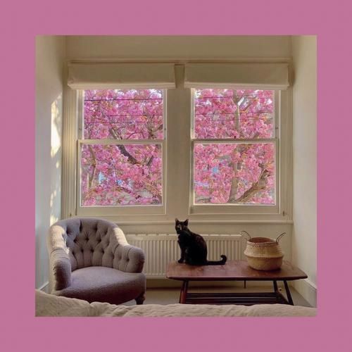 温柔治愈系背景图片_如何挑选-第2张图片-山城妙识