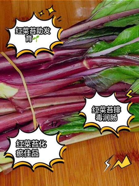 红菜苔的营养价值_红菜苔怎么吃最营养-第2张图片-山城妙识