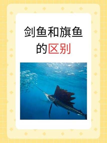 旗鱼和剑鱼有什么区别_旗鱼剑鱼哪个更快-第1张图片-山城妙识