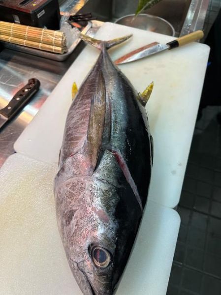 金枪鱼高清图哪里找_金枪鱼高清图怎么拍-第1张图片-山城妙识 金枪鱼高清图哪里找_金枪鱼高清图怎么拍-第1张图片-山城妙识