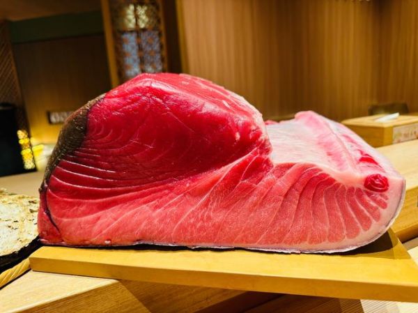 金枪鱼高清图哪里找_金枪鱼高清图怎么拍-第3张图片-山城妙识 金枪鱼高清图哪里找_金枪鱼高清图怎么拍-第3张图片-山城妙识