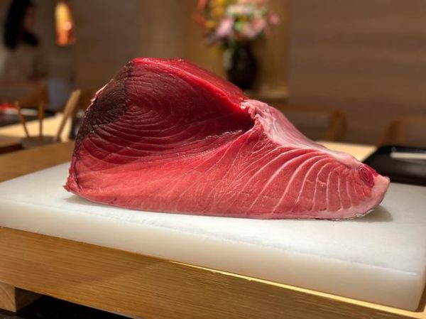 金枪鱼高清图哪里找_金枪鱼高清图怎么拍-第2张图片-山城妙识 金枪鱼高清图哪里找_金枪鱼高清图怎么拍-第2张图片-山城妙识