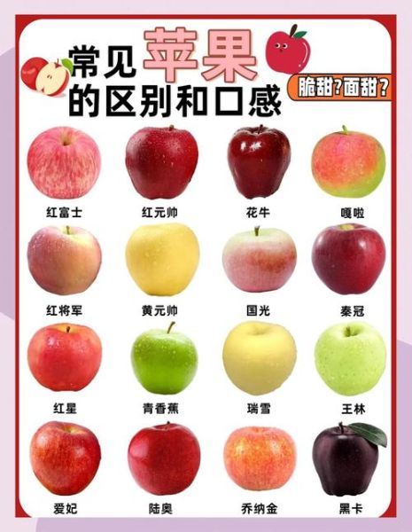 苹果品种大全图片_哪种苹果最好吃-第1张图片-山城妙识