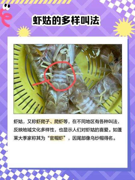 虾姑怎么剥壳_虾姑剥壳最快方法-第2张图片-山城妙识