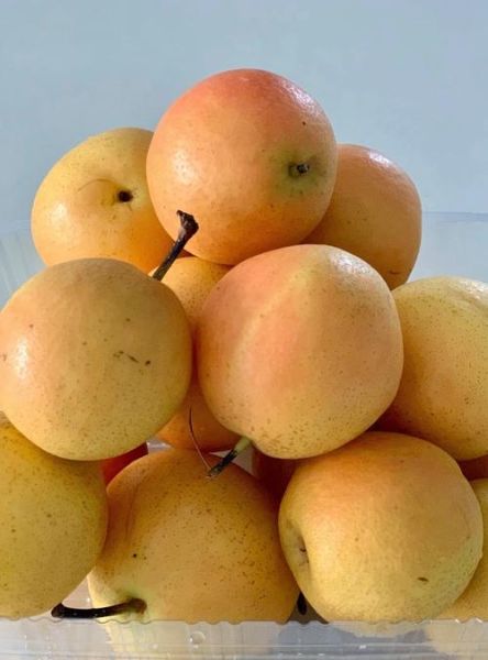 南果梨的产地在哪里_正宗南果梨哪里买-第1张图片-山城妙识