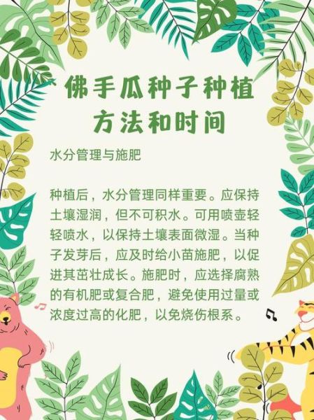 佛手瓜怎么种_佛手瓜种植技术视频-第2张图片-山城妙识