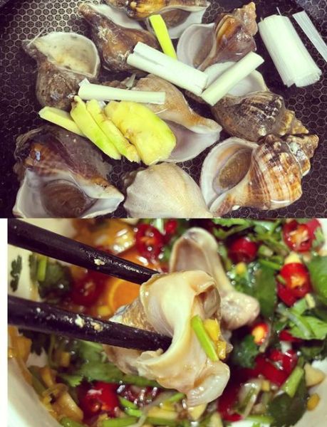 海螺怎么做好吃_海螺怎么吃才安全-第1张图片-山城妙识