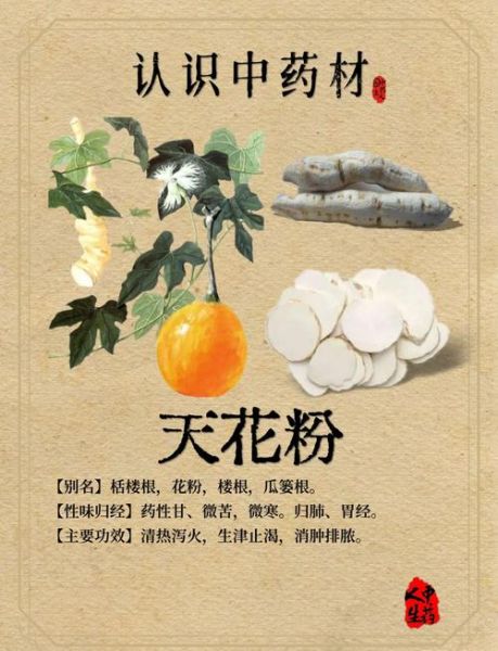 天花粉的功效与作用禁忌_孕妇能吃吗-第1张图片-山城妙识 天花粉的功效与作用禁忌_孕妇能吃吗-第1张图片-山城妙识