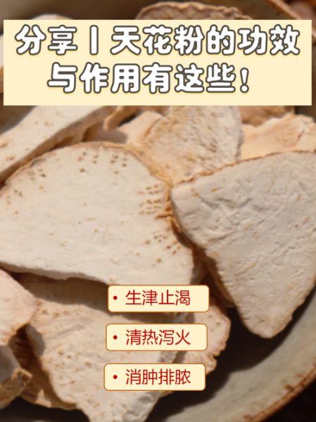 天花粉的功效与作用禁忌_孕妇能吃吗-第3张图片-山城妙识 天花粉的功效与作用禁忌_孕妇能吃吗-第3张图片-山城妙识