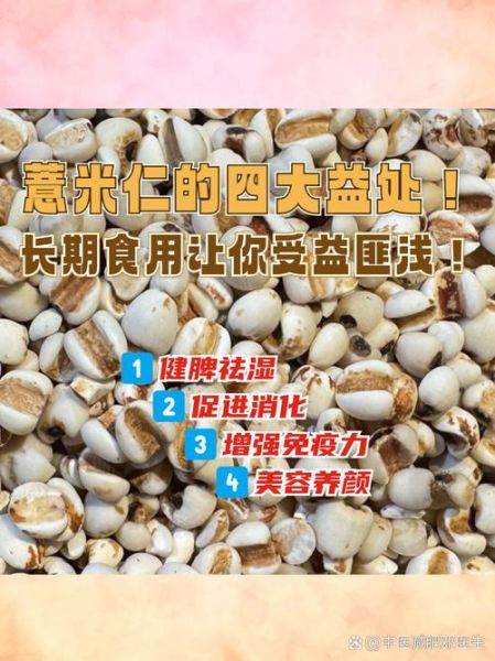 薏仁米怎么吃减肥_薏仁米功效与作用禁忌-第2张图片-山城妙识 薏仁米怎么吃减肥_薏仁米功效与作用禁忌-第2张图片-山城妙识