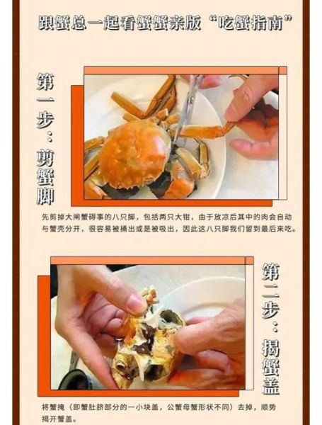 如何吃螃蟹才是正确的_吃螃蟹的正确步骤-第1张图片-山城妙识