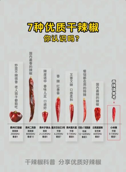 干辣椒品种大全有哪些_干辣椒图片怎么区分-第2张图片-山城妙识 干辣椒品种大全有哪些_干辣椒图片怎么区分-第2张图片-山城妙识