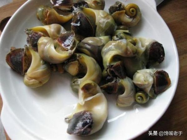 海螺尾部是黄还是屎_能吃吗-第2张图片-山城妙识