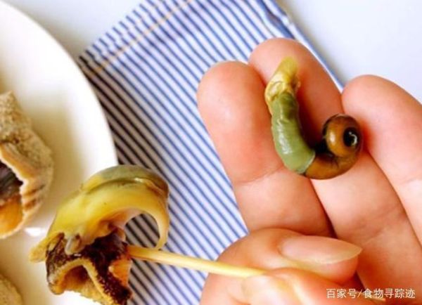 海螺尾部是黄还是屎_能吃吗-第3张图片-山城妙识