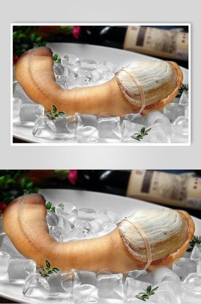 象拔蚌多少钱一斤2021_价格为什么波动这么大-第3张图片-山城妙识