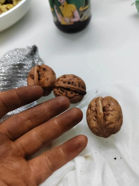 剥核桃手黑怎么洗_核桃皮染黑手最快清洗法-第1张图片-山城妙识 剥核桃手黑怎么洗_核桃皮染黑手最快清洗法-第1张图片-山城妙识