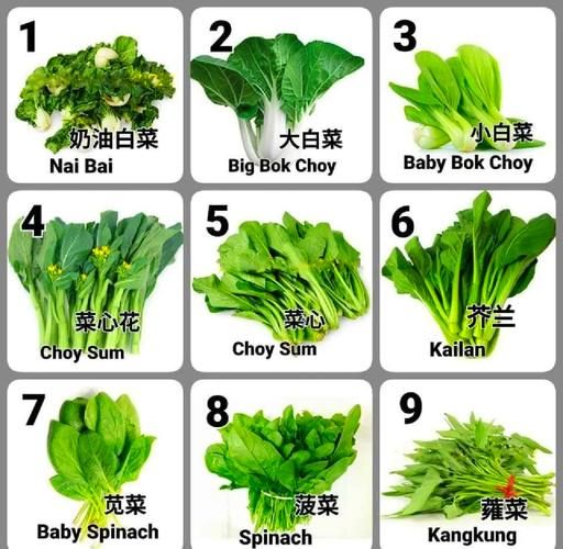 常见蔬菜品种名称大全_如何快速识别蔬菜种类-第3张图片-山城妙识