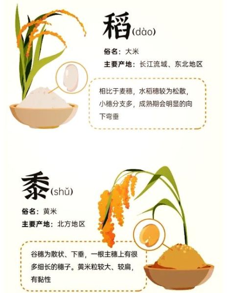 五谷读音是什么_五谷分别怎么读-第1张图片-山城妙识