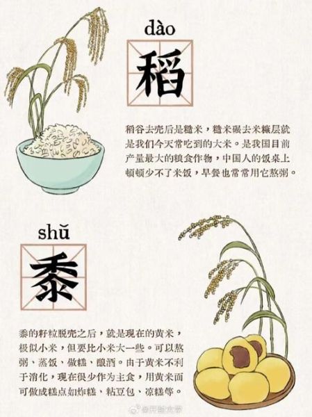 五谷读音是什么_五谷分别怎么读-第3张图片-山城妙识