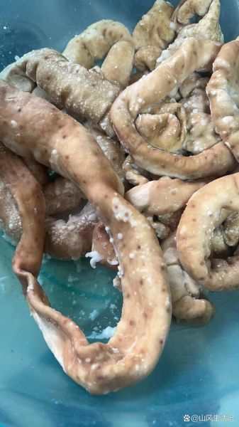 肥肠是装屎的吗_猪大肠到底有没有粪便-第1张图片-山城妙识