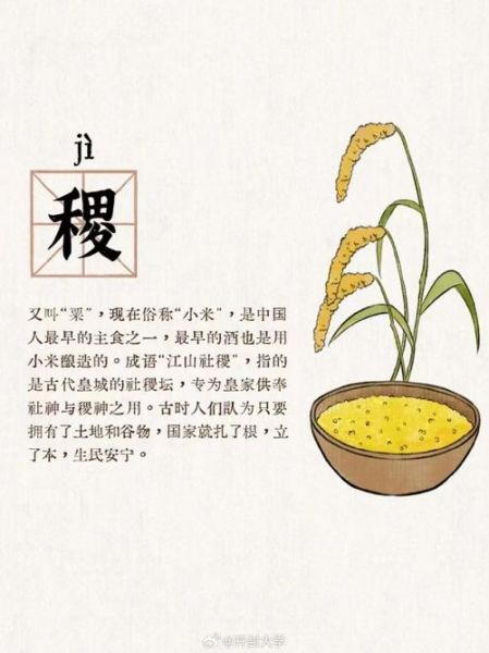 五谷读音是什么_五谷分别怎么读-第2张图片-山城妙识