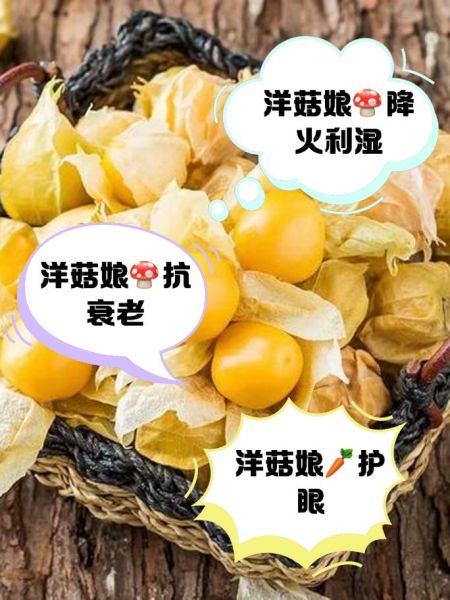 洋姑娘是什么水果_洋姑娘怎么吃最好吃-第3张图片-山城妙识 洋姑娘是什么水果_洋姑娘怎么吃最好吃-第3张图片-山城妙识