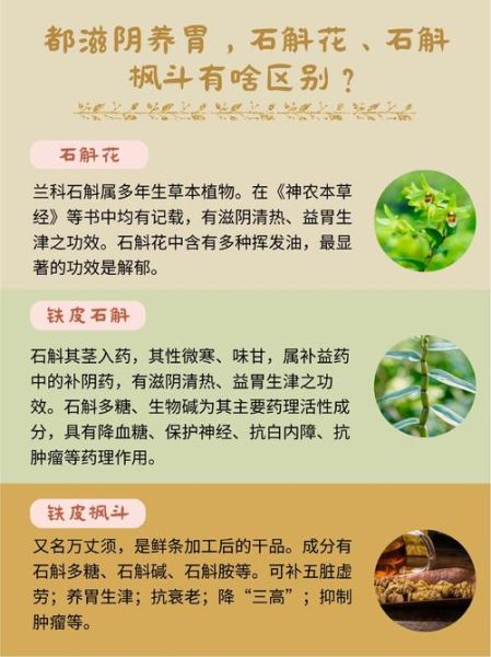 枫斗和石斛的区别是什么_枫斗与石斛功效一样吗-第1张图片-山城妙识