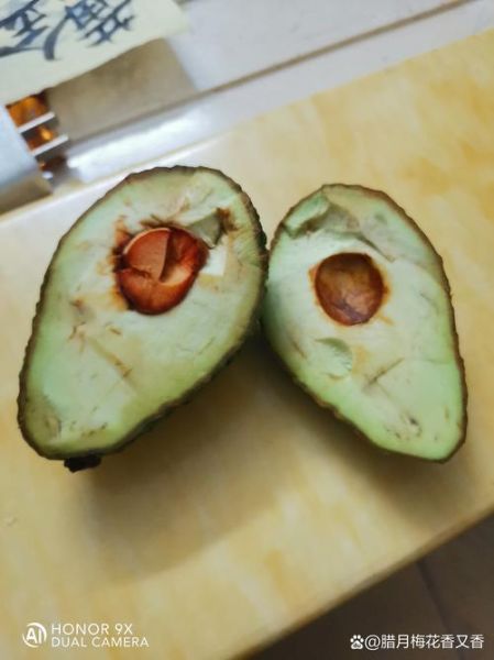 牛油果难吃到怀疑人生_为什么牛油果这么难吃-第1张图片-山城妙识