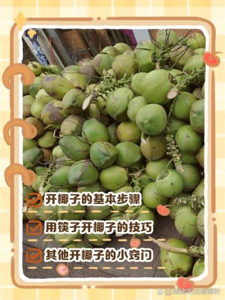 白色椰子怎么打开_图解步骤-第2张图片-山城妙识 白色椰子怎么打开_图解步骤-第2张图片-山城妙识