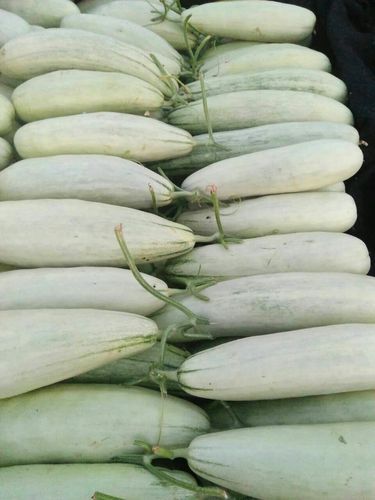 羊角蜜甜瓜怎么挑_羊角蜜甜瓜热量高吗-第3张图片-山城妙识 羊角蜜甜瓜怎么挑_羊角蜜甜瓜热量高吗-第3张图片-山城妙识