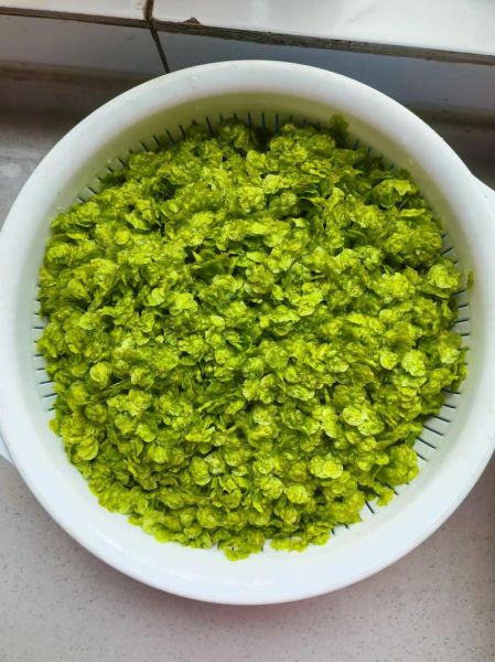 榆钱怎么做好吃_榆钱做法大全图解-第1张图片-山城妙识