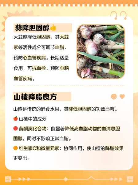 怎样降低胆固醇最有效_吃什么食物降胆固醇最快-第3张图片-山城妙识