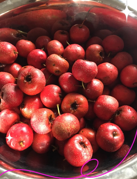 家庭自制山楂酱的做法_山楂酱怎么保存-第3张图片-山城妙识