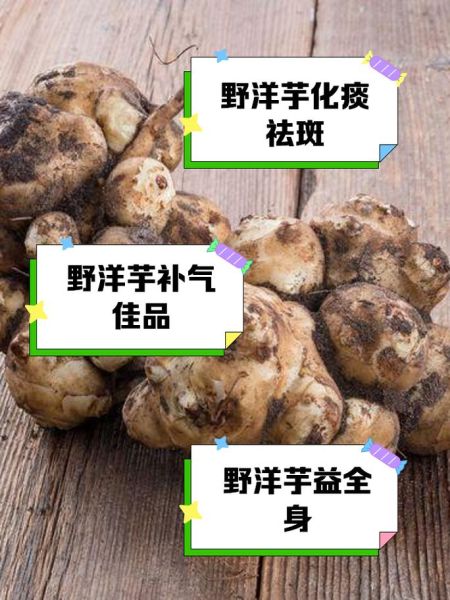 洋芋头能降血糖吗_洋芋头怎么吃最健康-第1张图片-山城妙识 洋芋头能降血糖吗_洋芋头怎么吃最健康-第1张图片-山城妙识