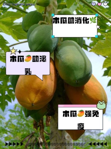 木瓜能提高精子质量吗_男人吃木瓜多久见效-第2张图片-山城妙识