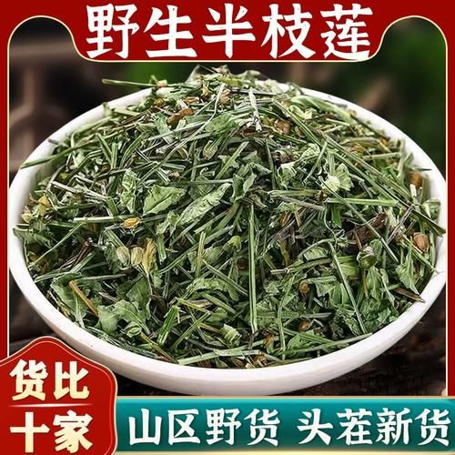 半枝莲和白花蛇草主治什么病_功效与禁忌-第1张图片-山城妙识