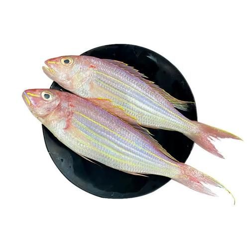 红杉鱼是海鱼还是淡水鱼_如何区分-第1张图片-山城妙识