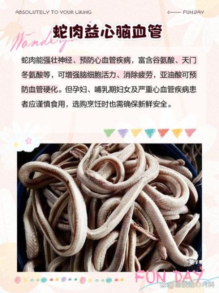 蛇肉怎么煲汤才好喝_蛇汤去腥增鲜秘诀-第3张图片-山城妙识