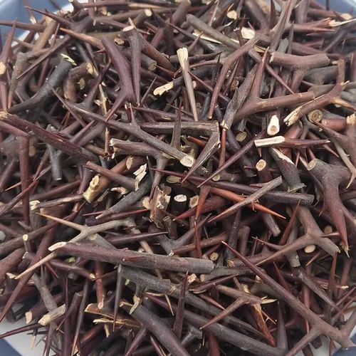 皂角刺多少钱一斤_皂角刺价格行情-第1张图片-山城妙识