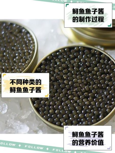 取鱼子酱要杀鲟鱼吗_鲟鱼取卵后还能活吗-第1张图片-山城妙识 取鱼子酱要杀鲟鱼吗_鲟鱼取卵后还能活吗-第1张图片-山城妙识