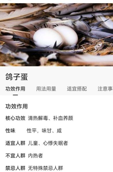 鸽子蛋有什么营养价值_鸽子蛋的功效与作用-第1张图片-山城妙识